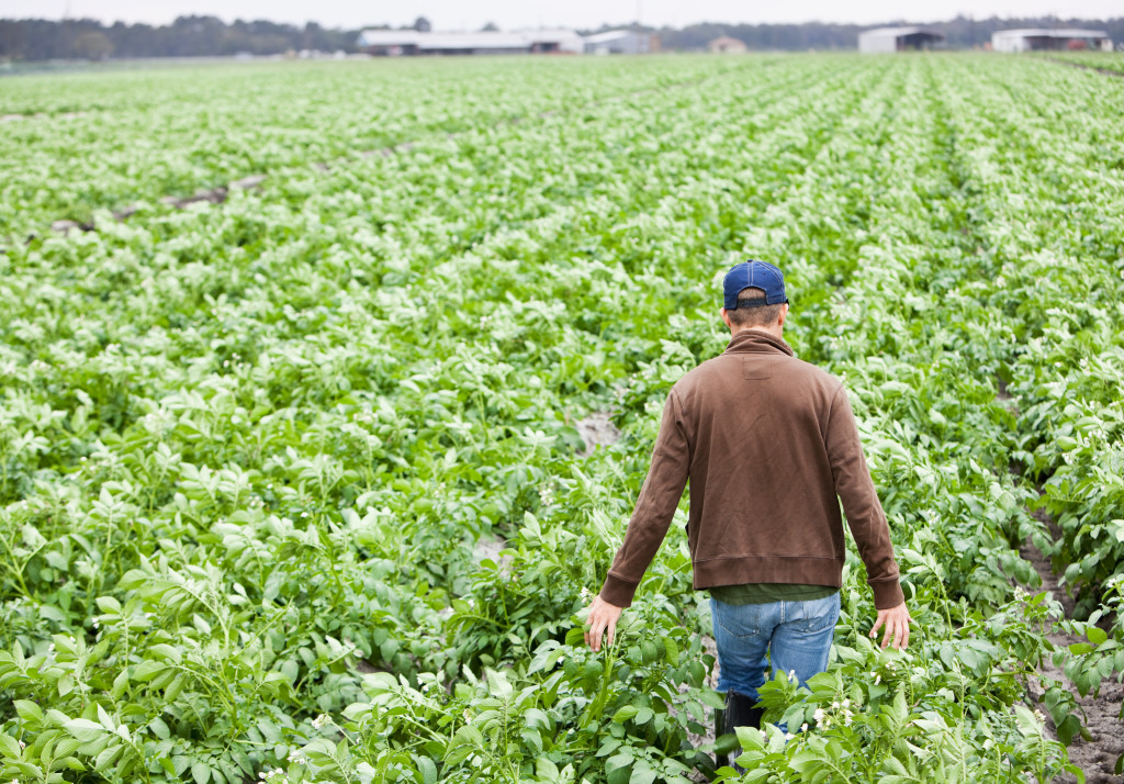 ¿Por qué cuestan más los productos biológicos?
