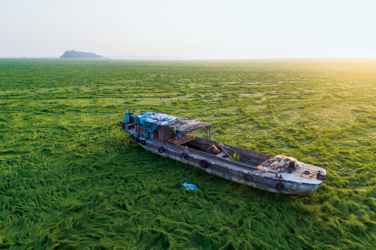 El desastre del lago Poyang