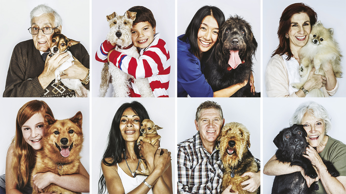 ¿Cuál es tu perro ideal?