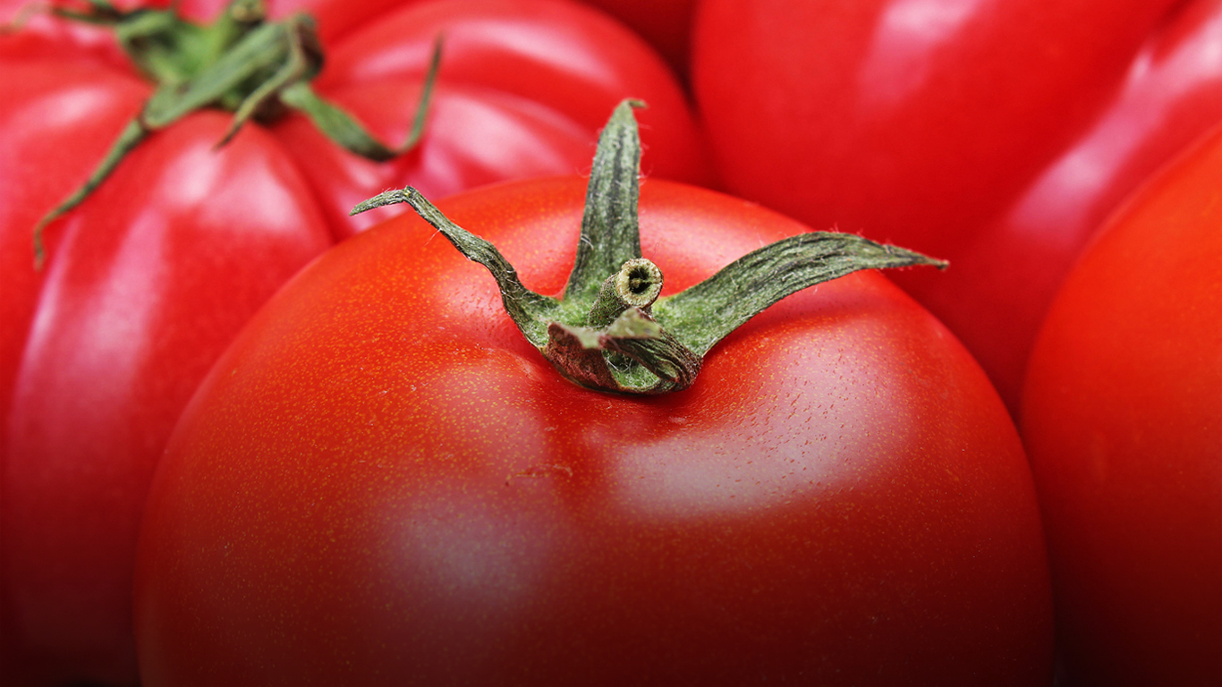 Tomate, salud en rojo