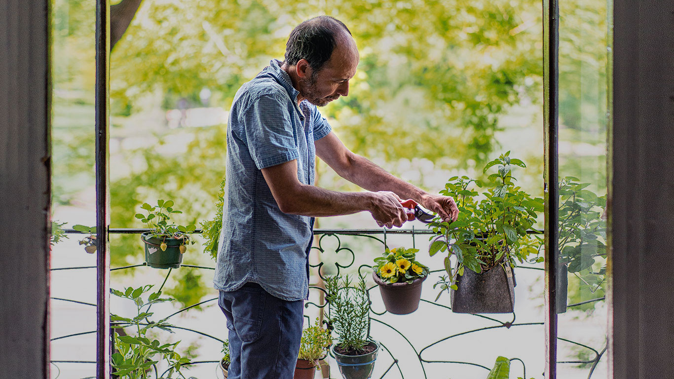 Un huerto en mi balcón: guía para novatos
