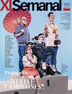 La inteligencia de los grandes simios: ¿por qué son tan humanos?